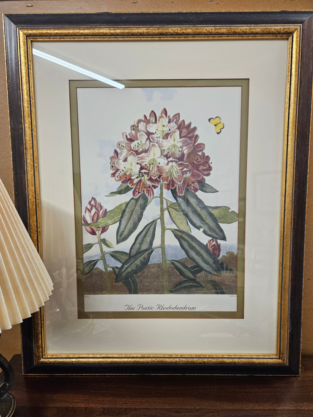 Wall Decor – New Leaf Consignment Plus